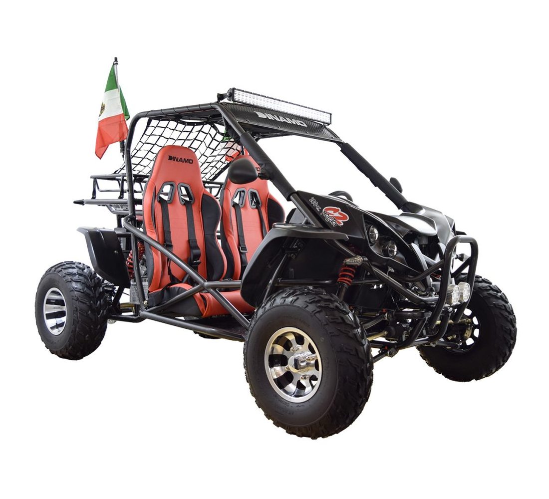 Bajaj Pulsar N 160 FI ABS Premium vs. Dinamo Molotov C2 | Galgo | México