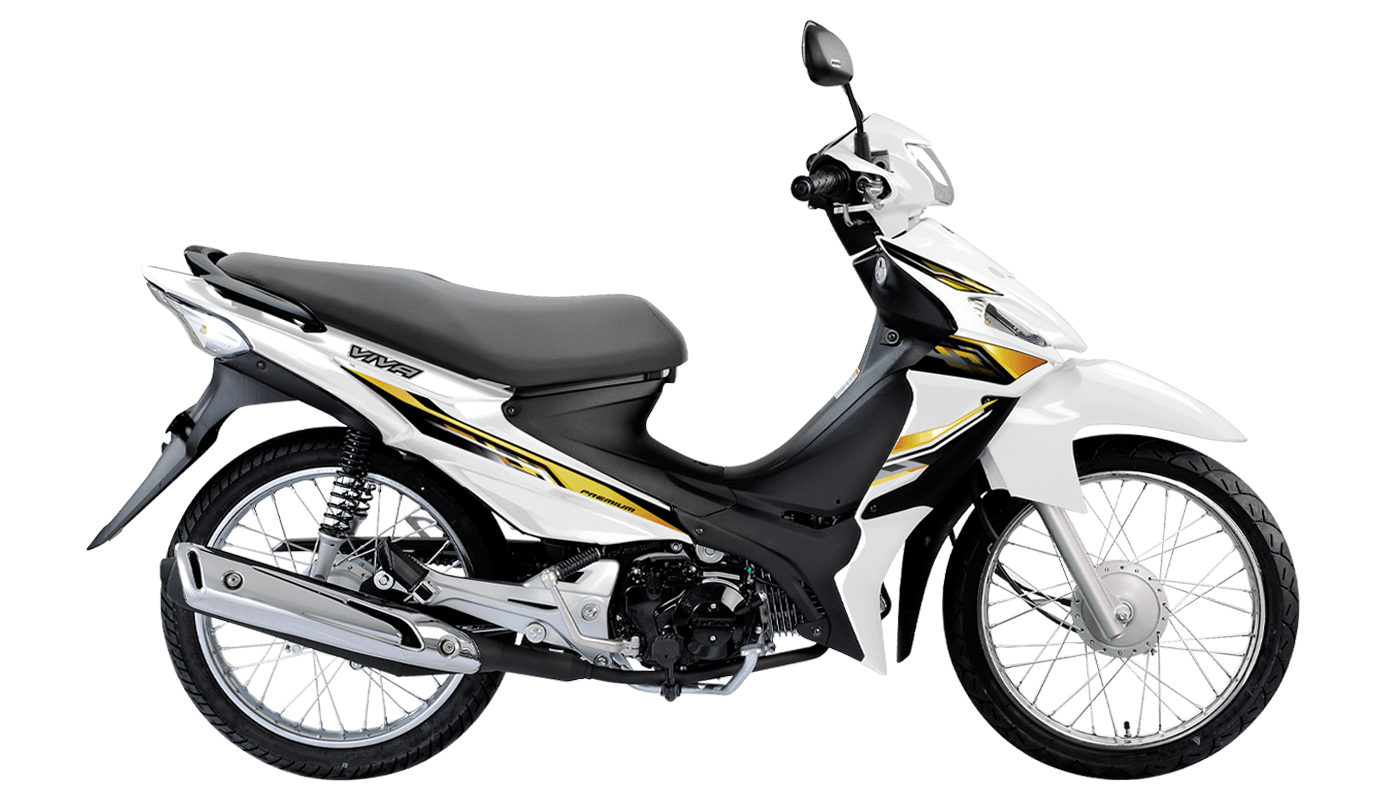 Suzuki VIVA R STYLE EURO3- Galgo Colombia