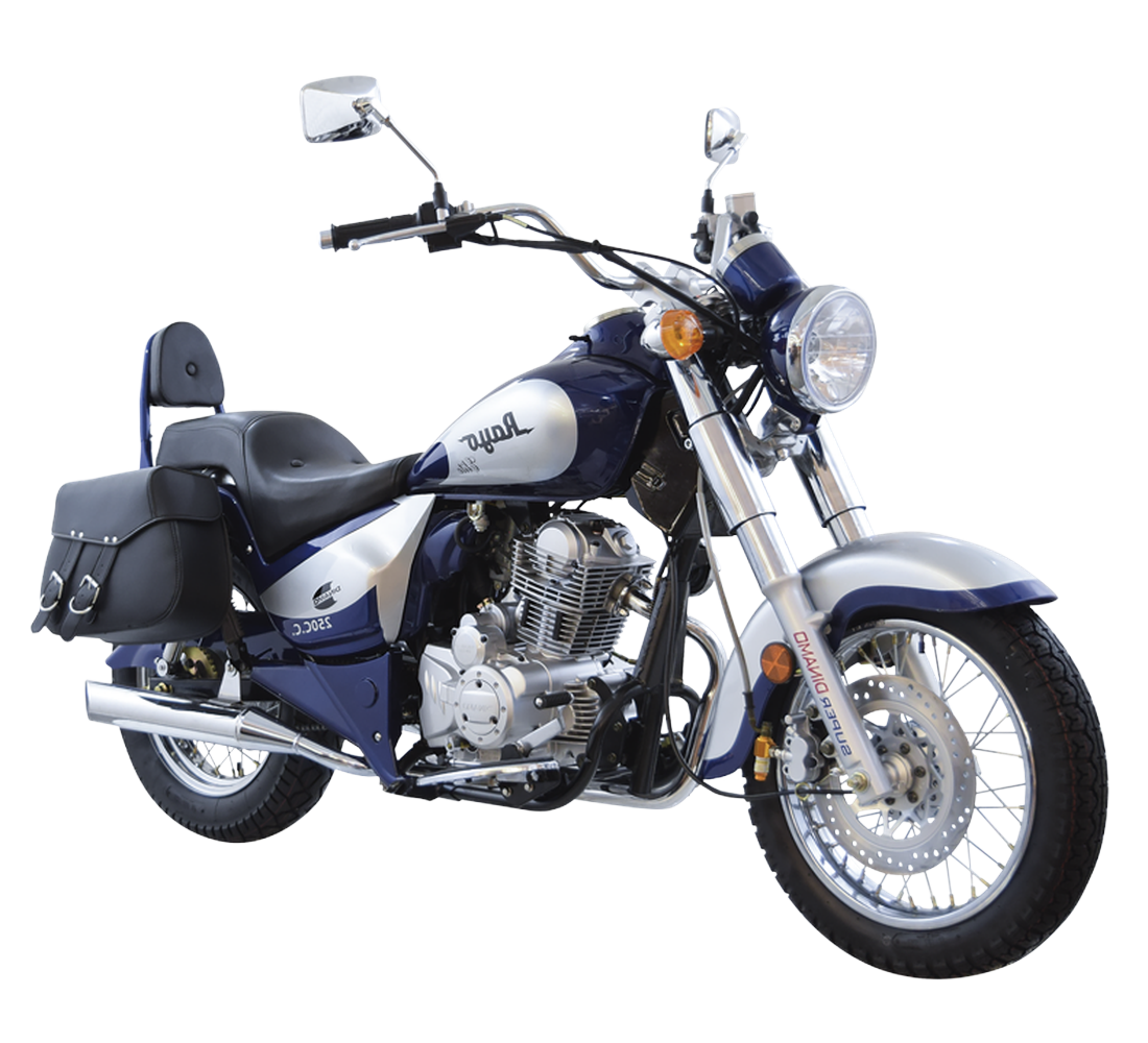 Dinamo Rayo Elite 250 vs. Treck MT 125 | Galgo | México