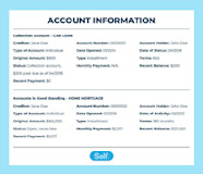 Credit Report Example How To Read And Understand Yours Self 