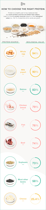 Choosing the Best Sources of Proteins for Your Body | 8fit