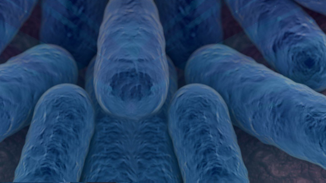 THE ORAL MICROBIOME | Kenvue Professional