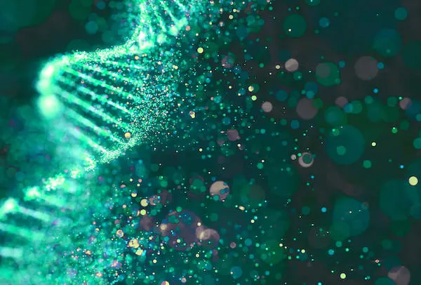 Alphartis SE | Autohandelsgruppe und Mobilitätspartner