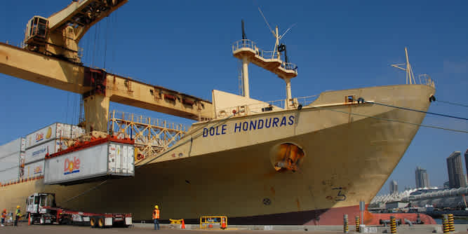 Why Should Dole Own Container Ships?