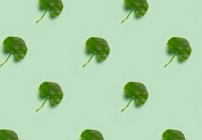 Cica 101: The Benefits of Centella Asiatica for Your Skin | Burt's Bees