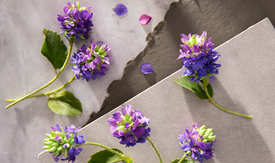 Bye, Cold Sores: Causes and How Treat Them Quickly | Burt's Bees