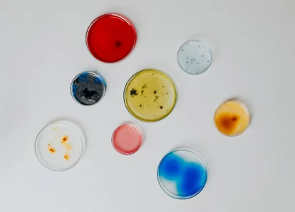 5 best skin care ingredients for blemishes and acne | Burt's Bees