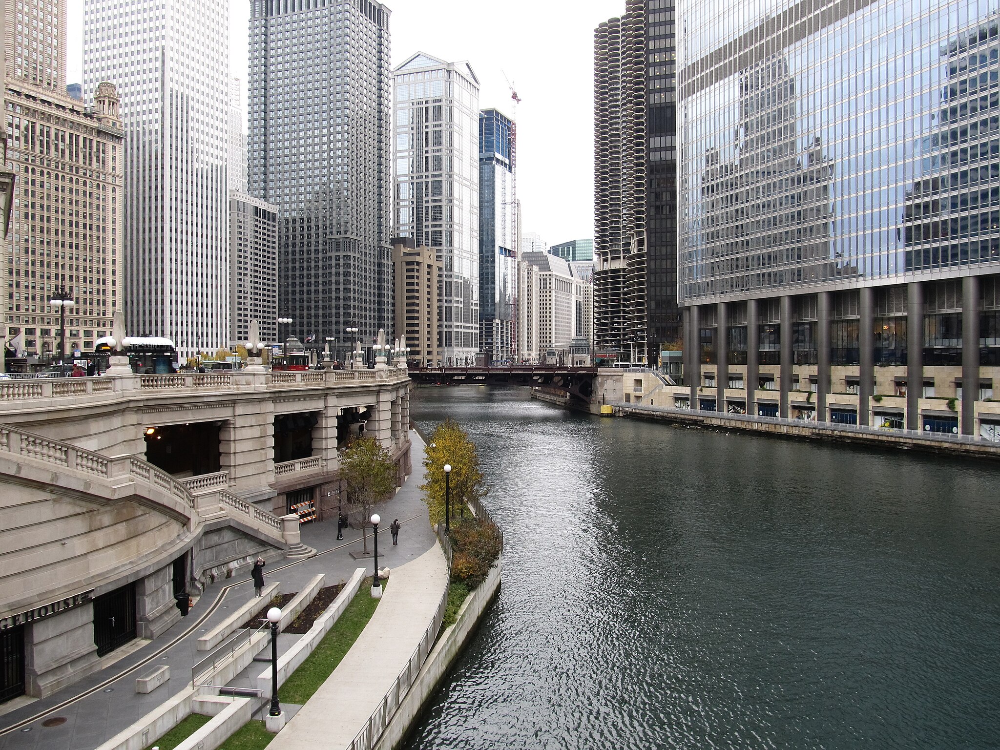 What is missing? | Re-wilding The Chicago River