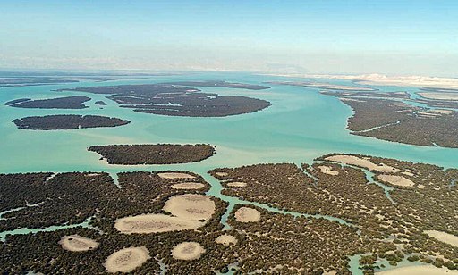 What is missing? | Parks & Reserves: Hara Biosphere Reserve