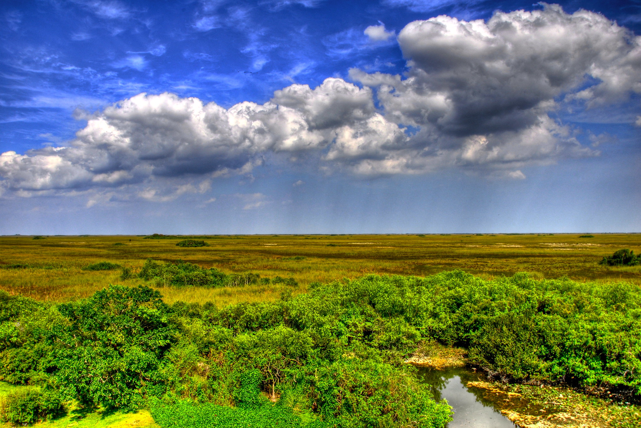 What is missing? | The Florida Everglades, largest wetland restoration