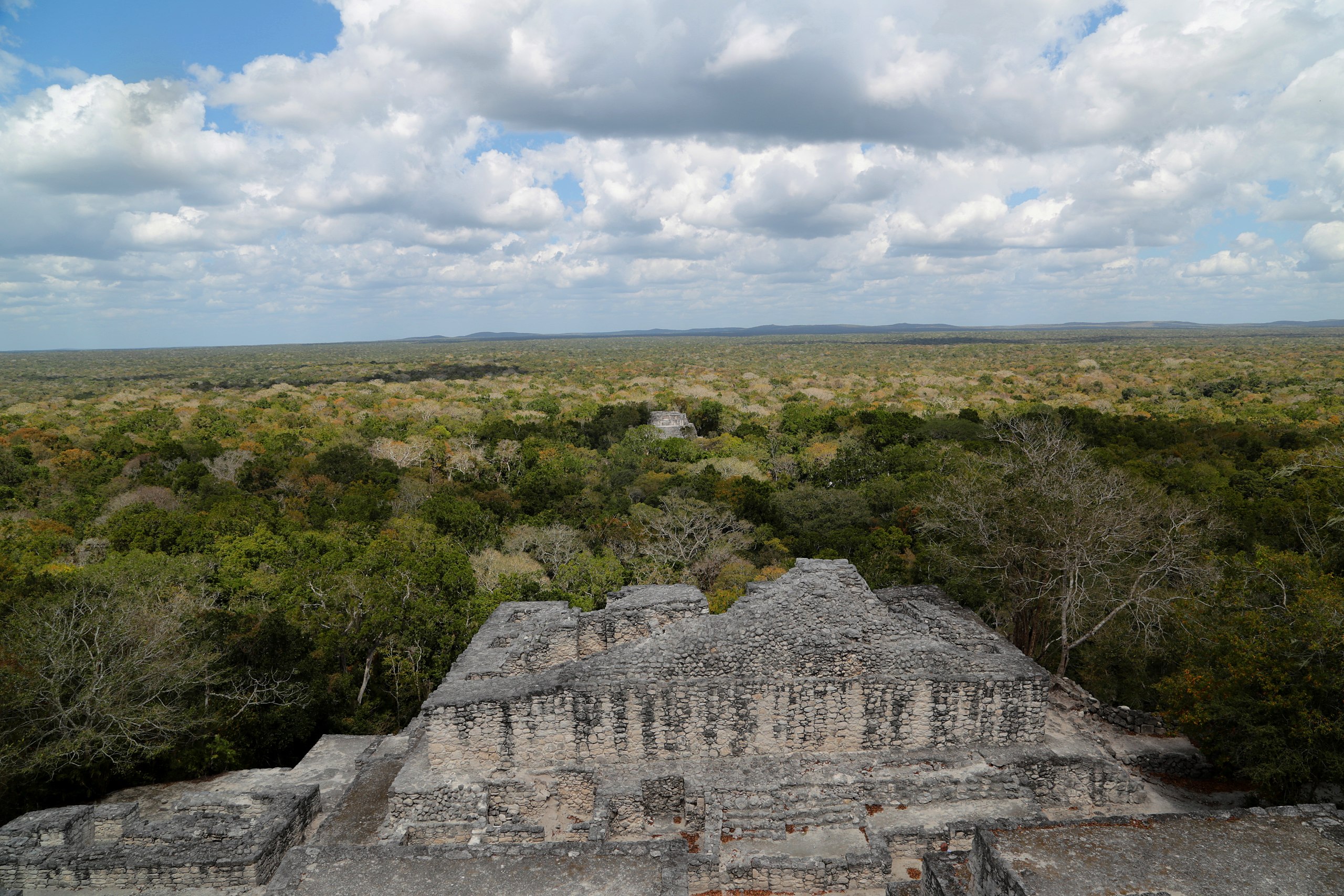 What is missing? | Calakmul Biosphere Reserve, Mexico's largest