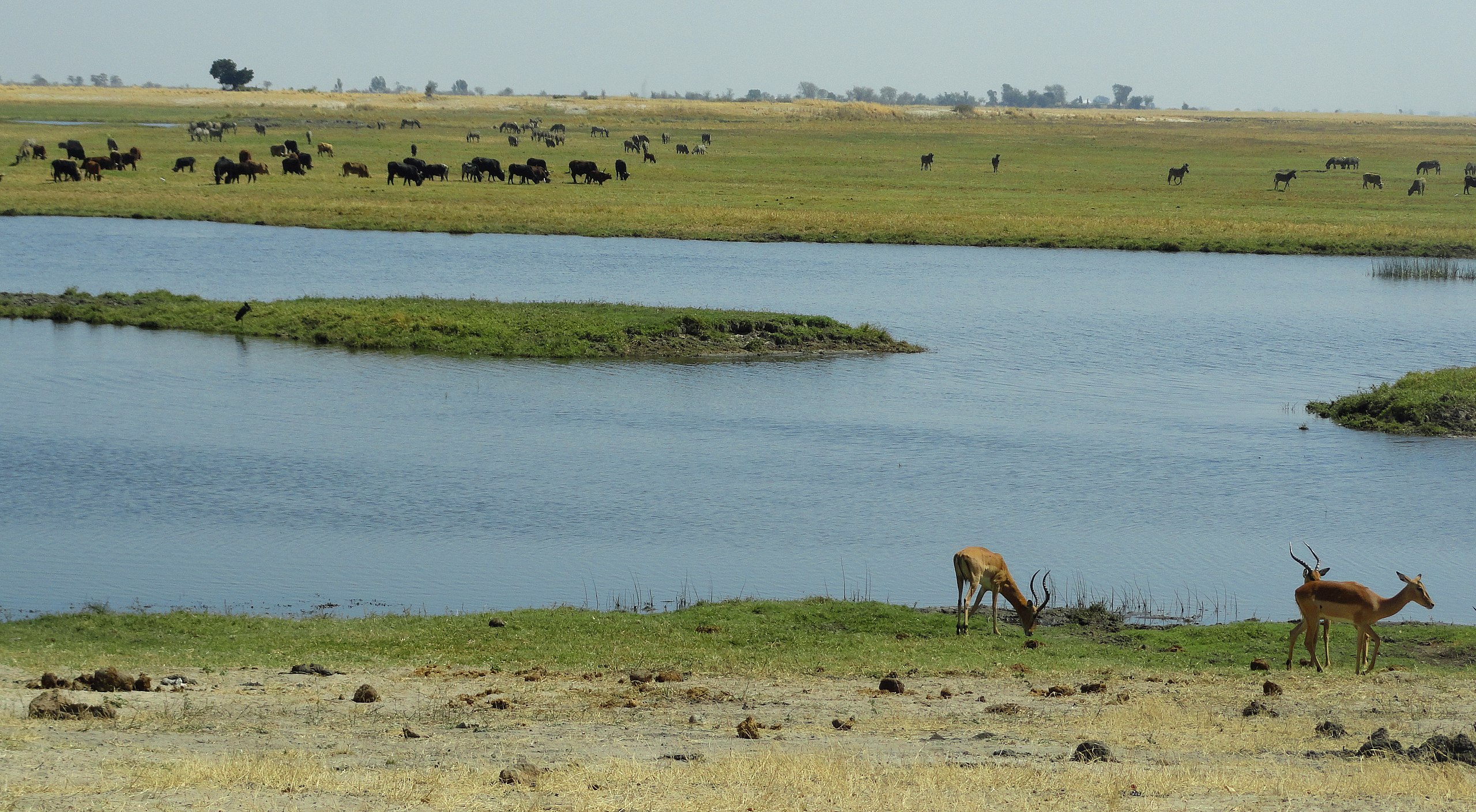 What is missing? | Parks & Reserves: Kavango-Zambezi Transfrontier (KAZA)