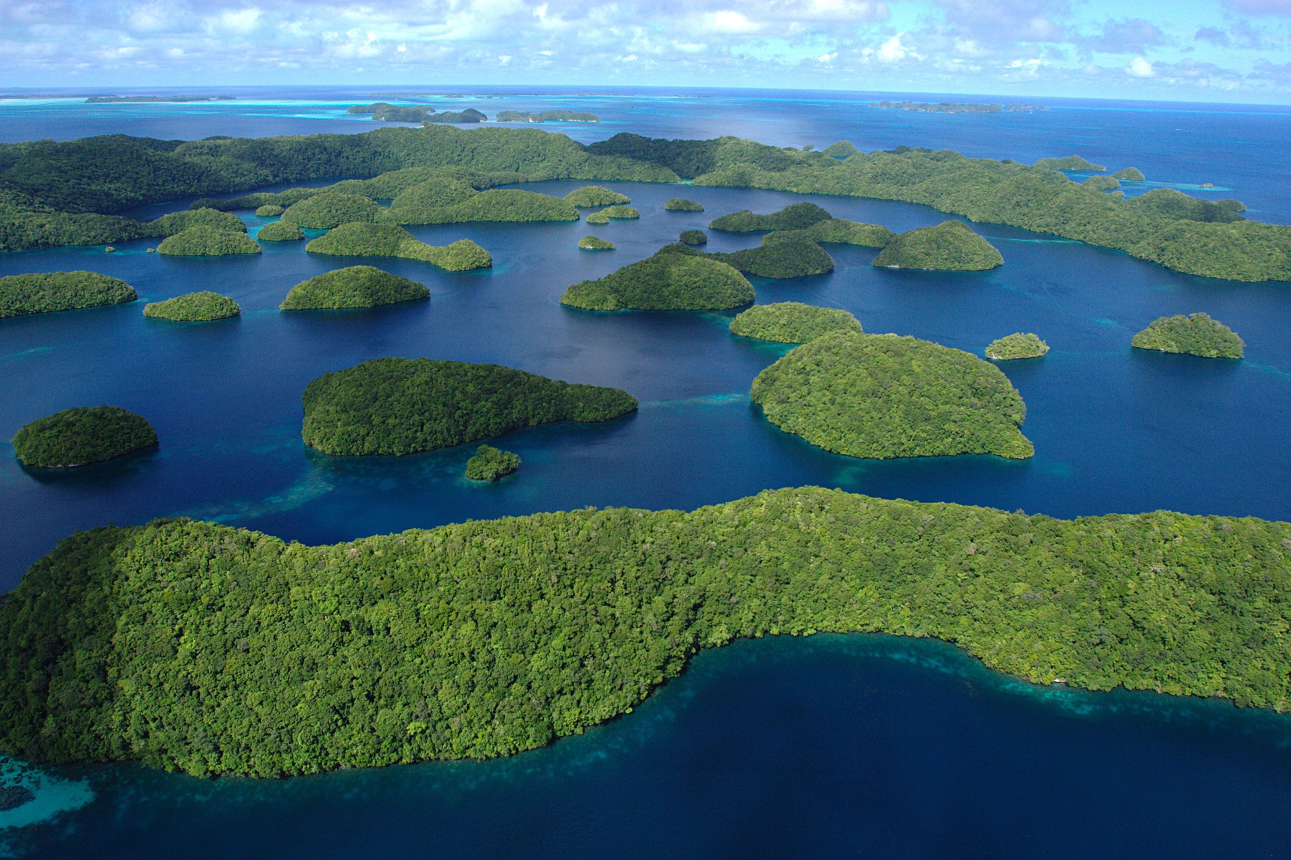 What is missing? | Palau, highest level of marine protections