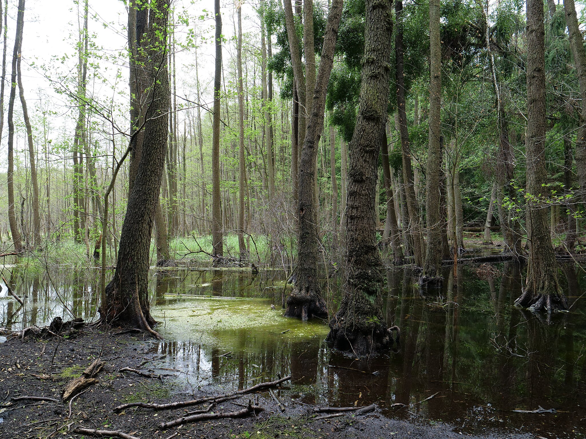 Swamp Pictures Oil Rig In Swamp Stock Photo Alamy