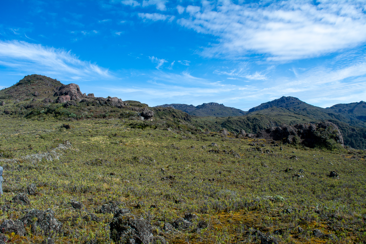 What is missing? | The Costa Rican páramo