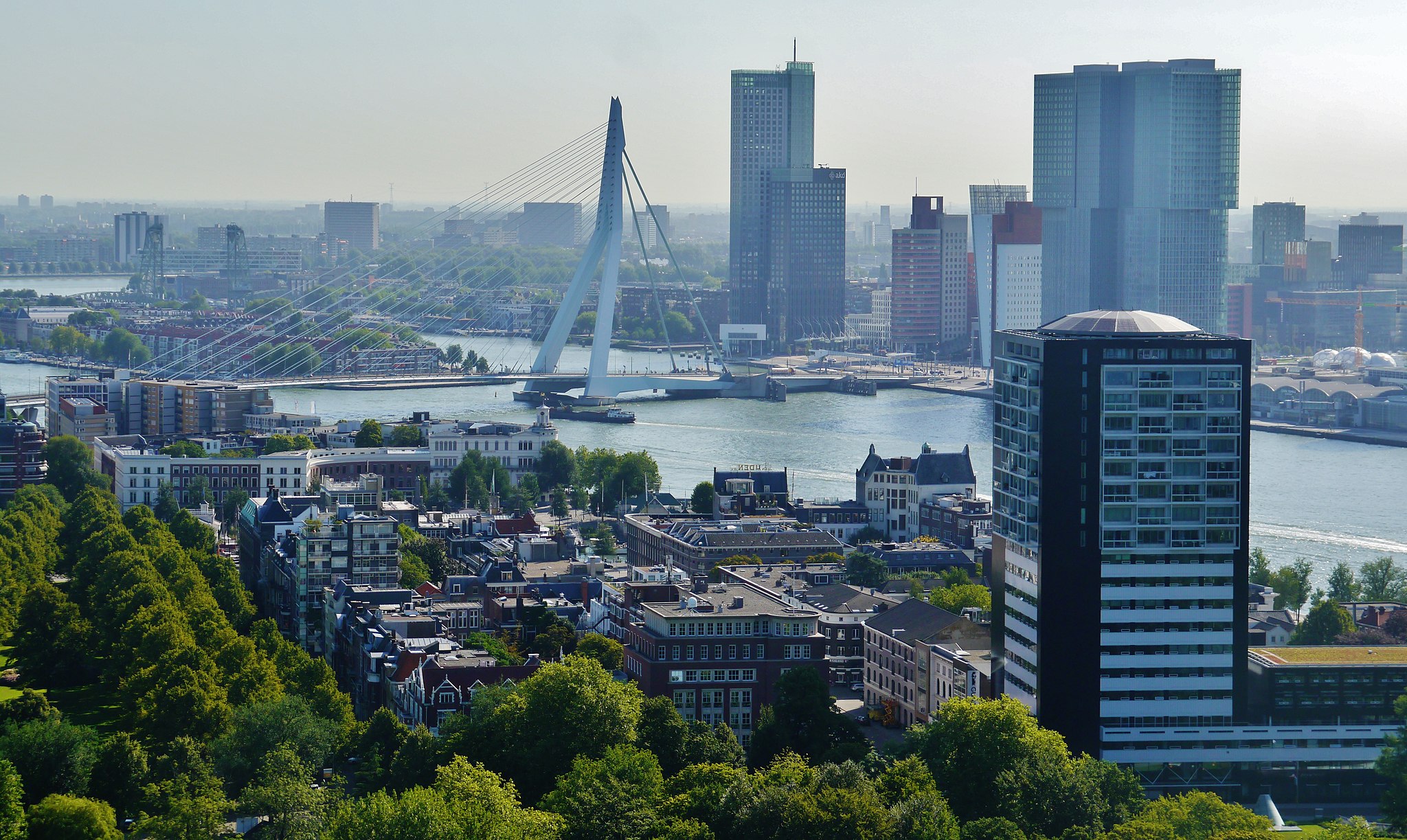 What is missing? | Rotterdam, water resilience and adaptation