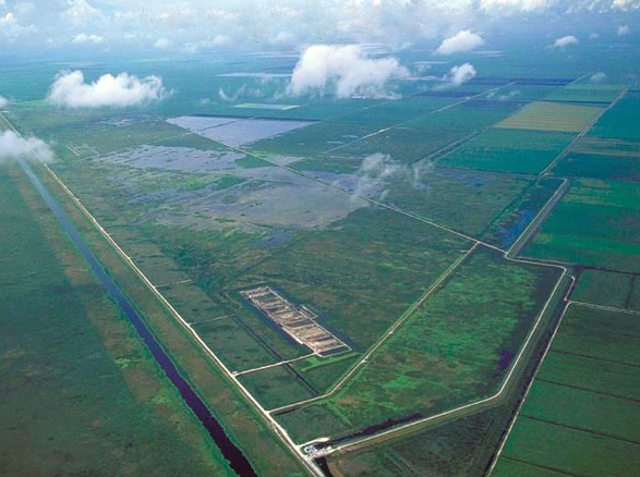 What is missing? | Habitat Loss, Everglades