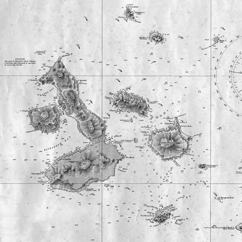 What is missing? | Inter-island Colonization Begins