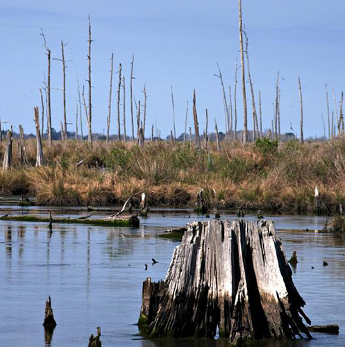 What is missing? | The land is sinking