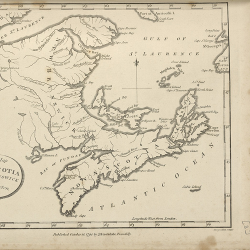 What is missing? | Sea Mink