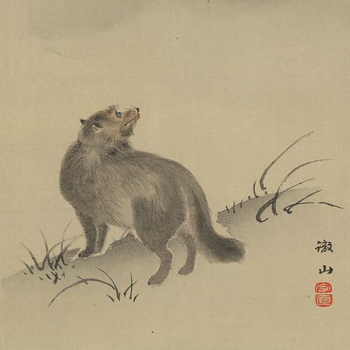 What is missing? | Honshu Wolf