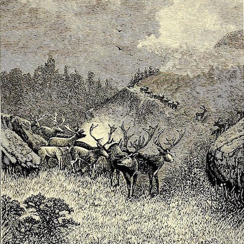 What is missing? | A herd 180 miles in length