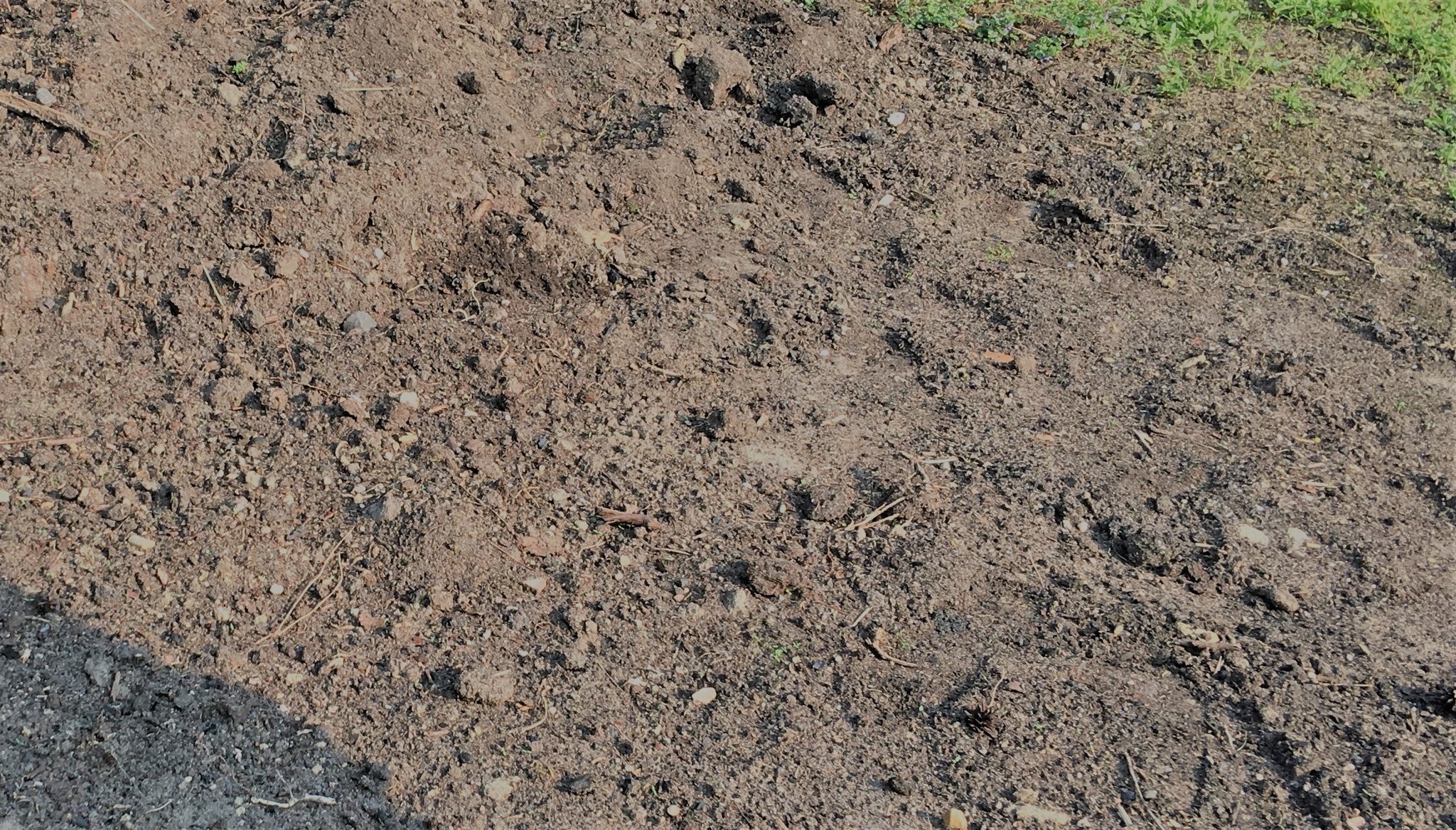 What is missing? | Traditional soil restoration in Burkina Faso