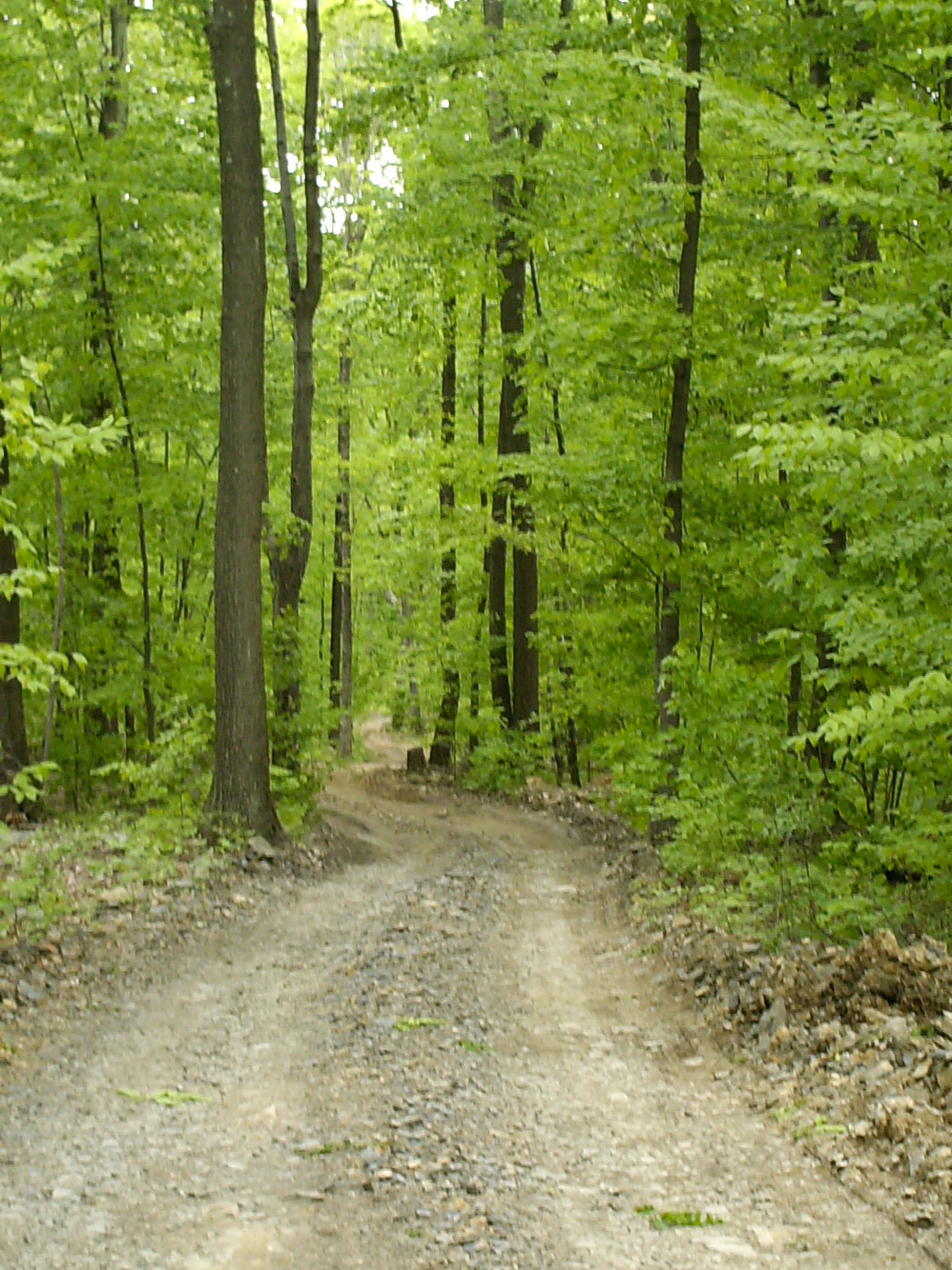 What is missing? | Missing The Dirt Roads