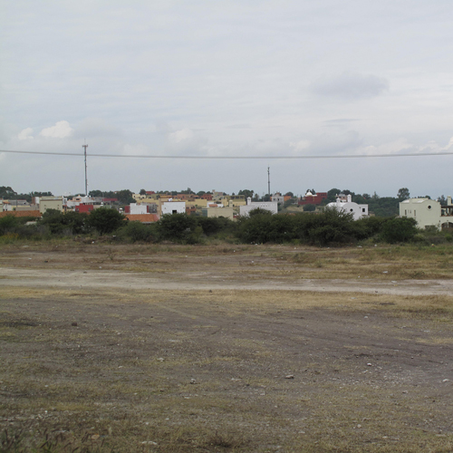 What is missing? | Nature