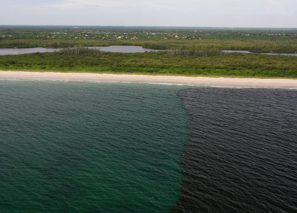 What is missing? | Polluted Water