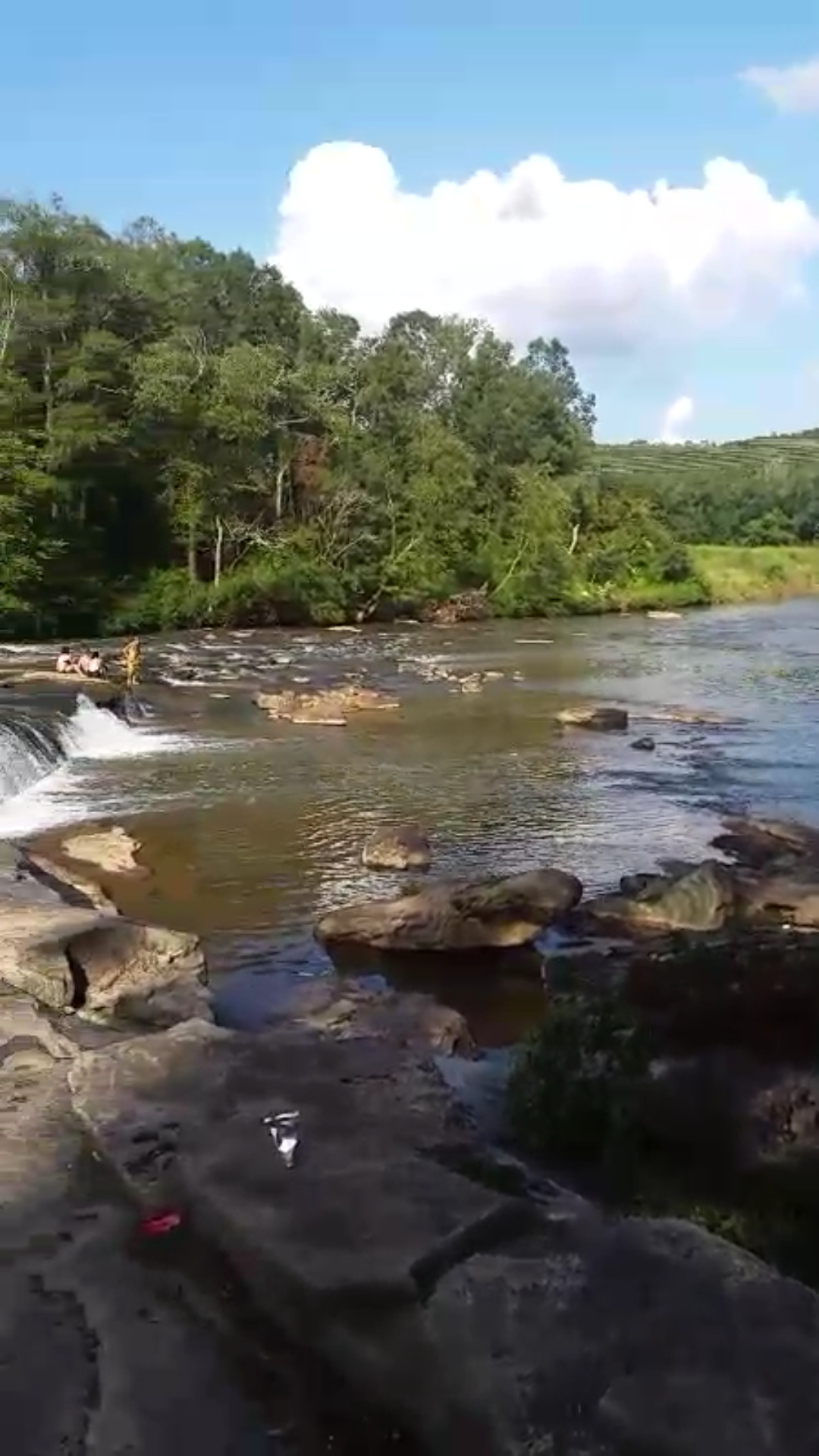 What is missing? | The Vanishing Trees