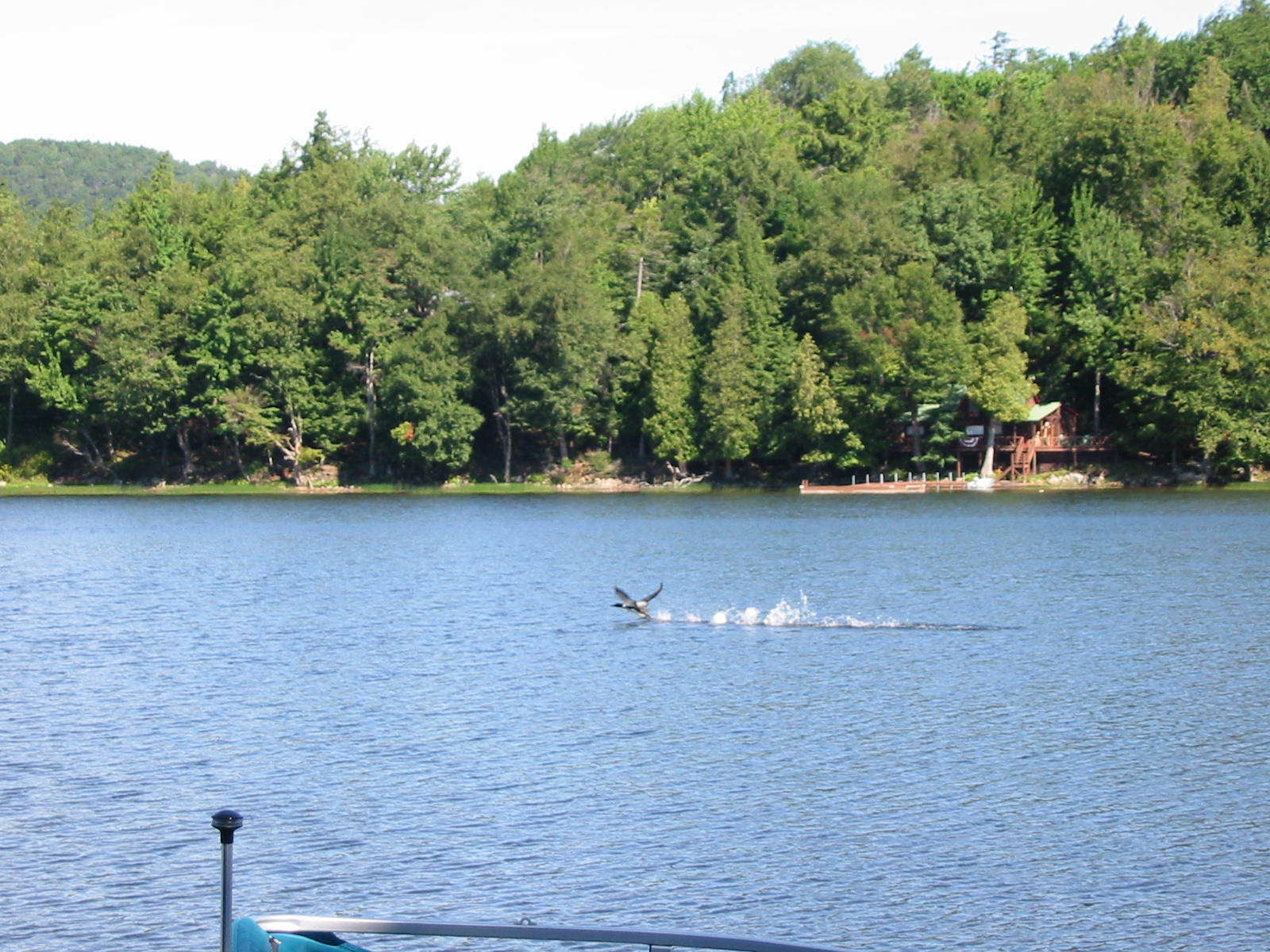 What is missing? | One Step Forward - Or Back.