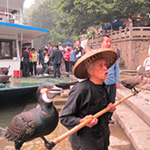 What is missing? | The Fish