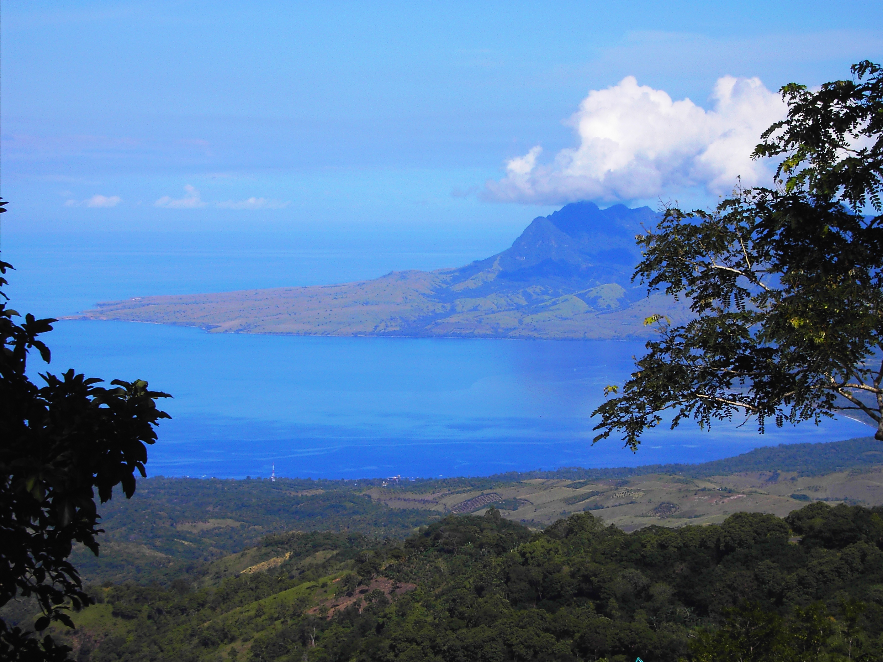 What is missing? | Parks & Reserves: The Savu Marine National Park