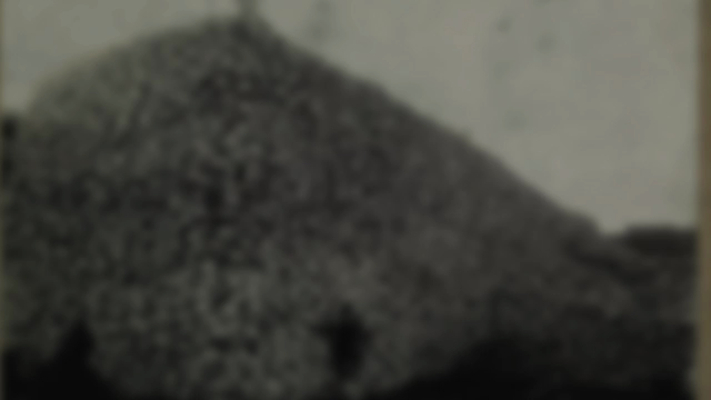 What is missing? | The Abundance Of Bison