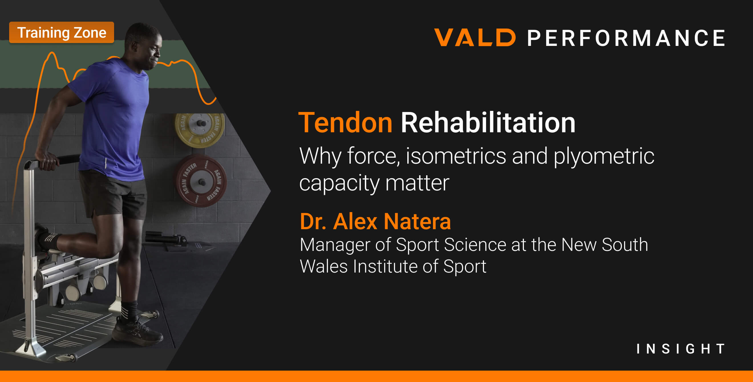 Tendon Rehabilitation: Why Force, Isometrics and Plyometric Capacity ...