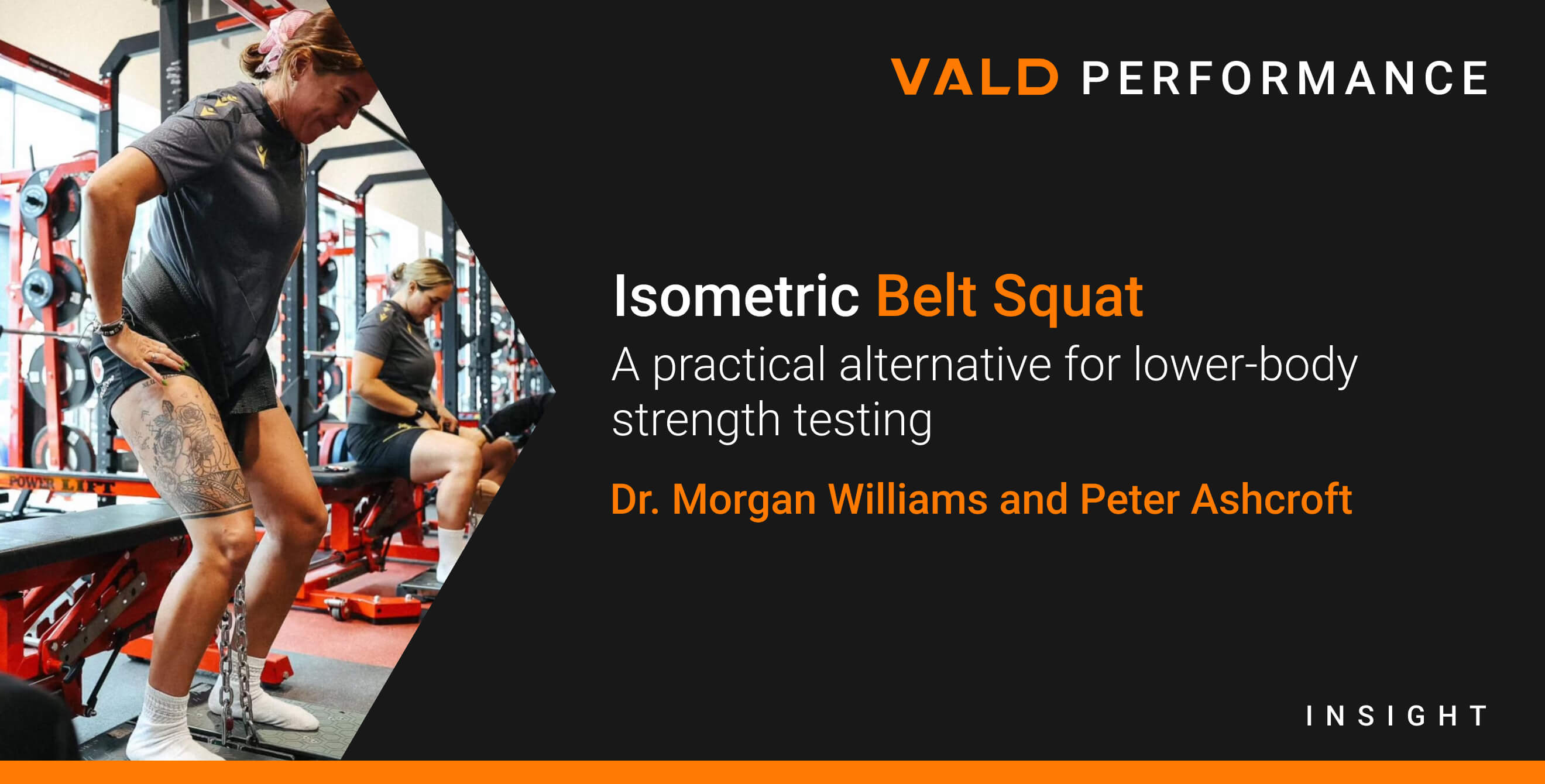 Isometric Belt Squat: A practical alternative for lower-body strength ...