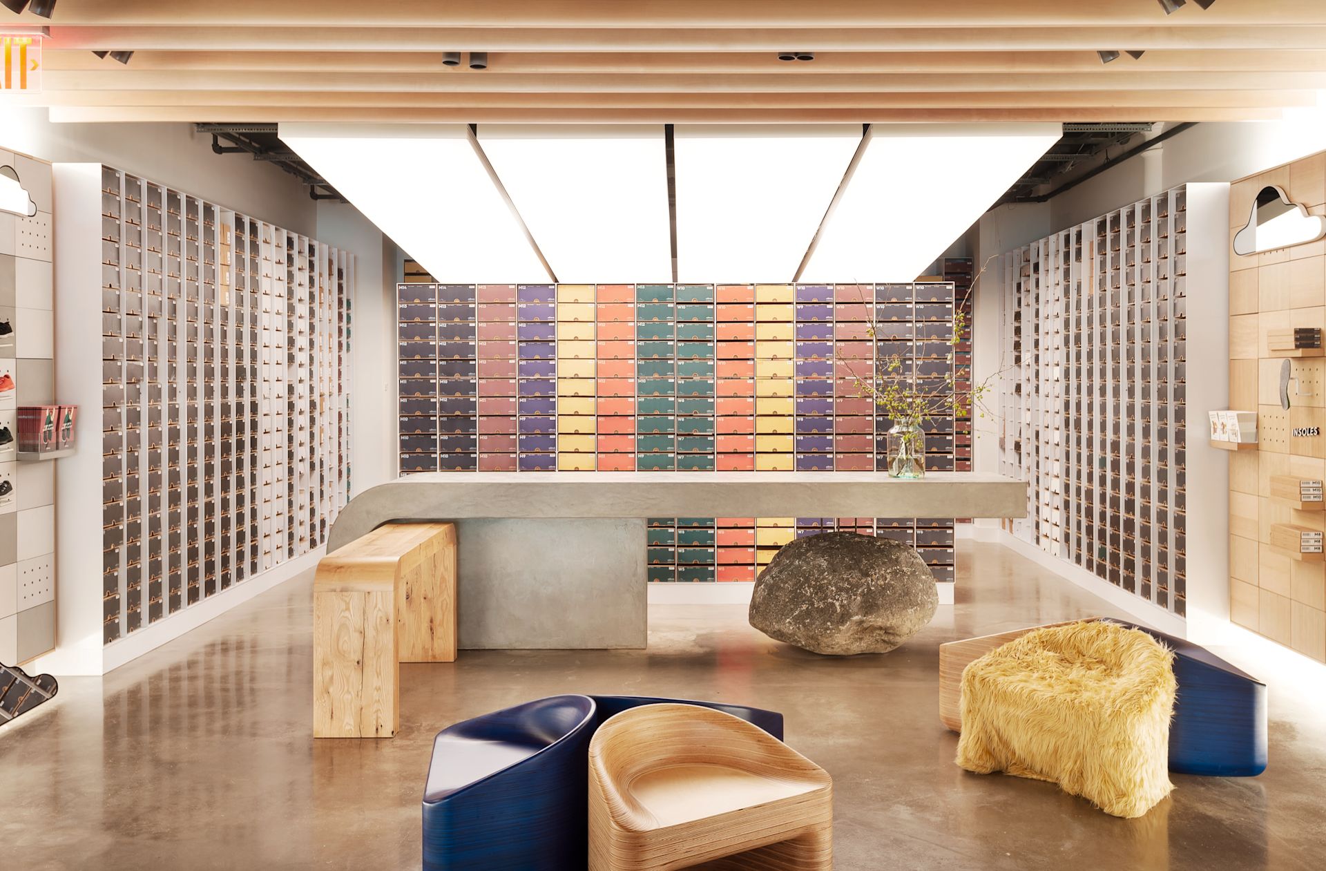Project - Allbirds