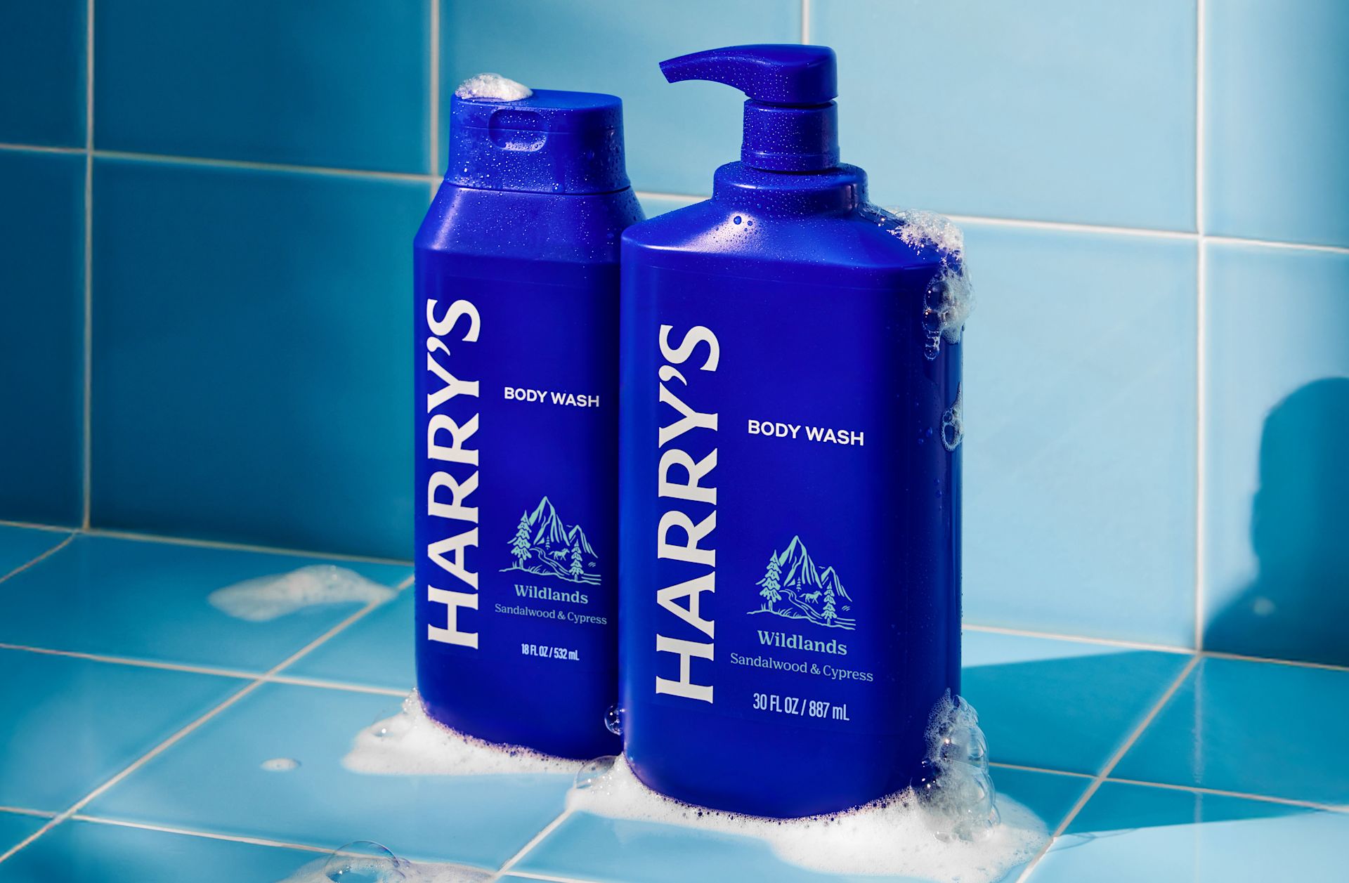 Project - Harry's Branding