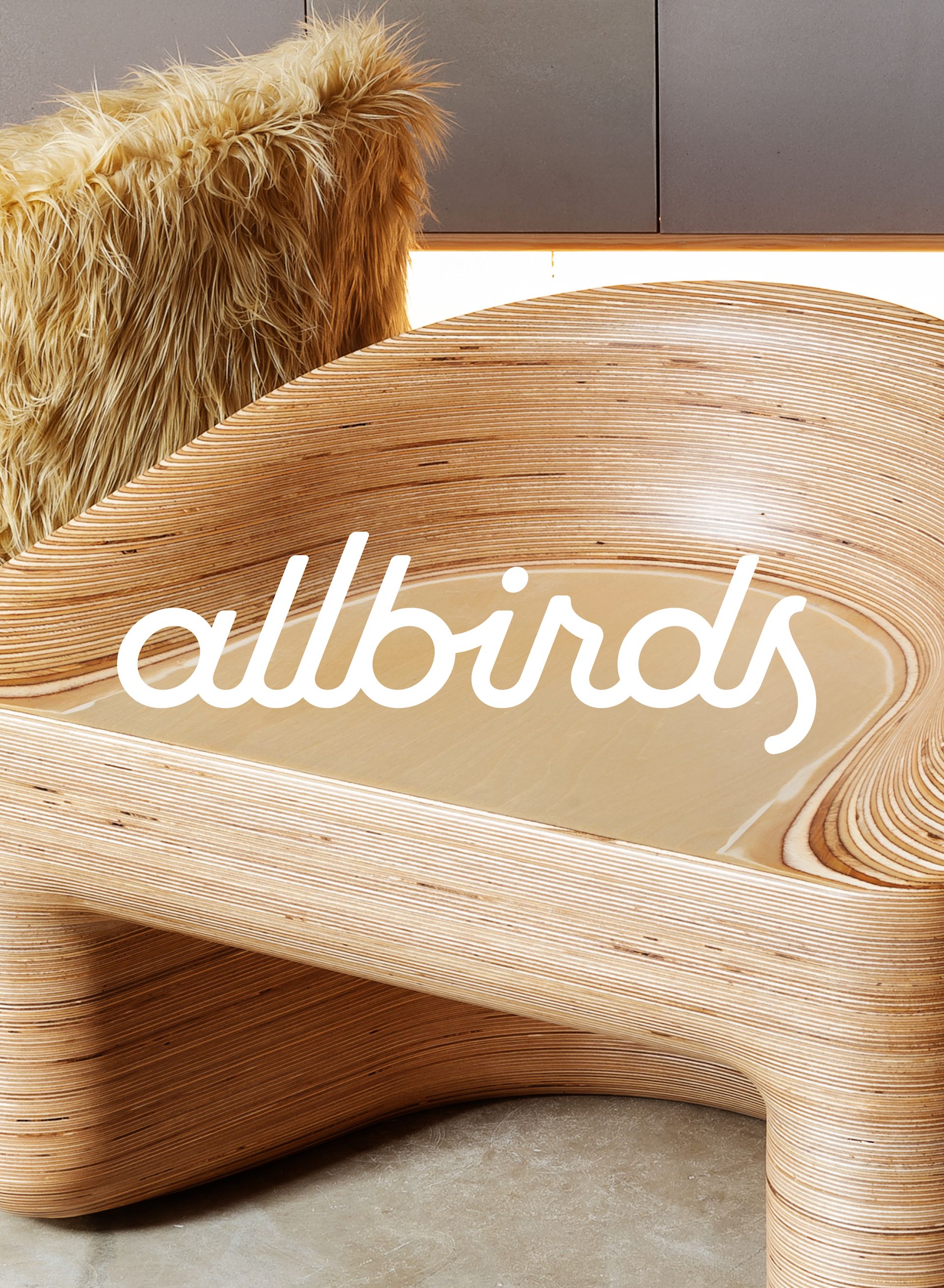Project - Allbirds