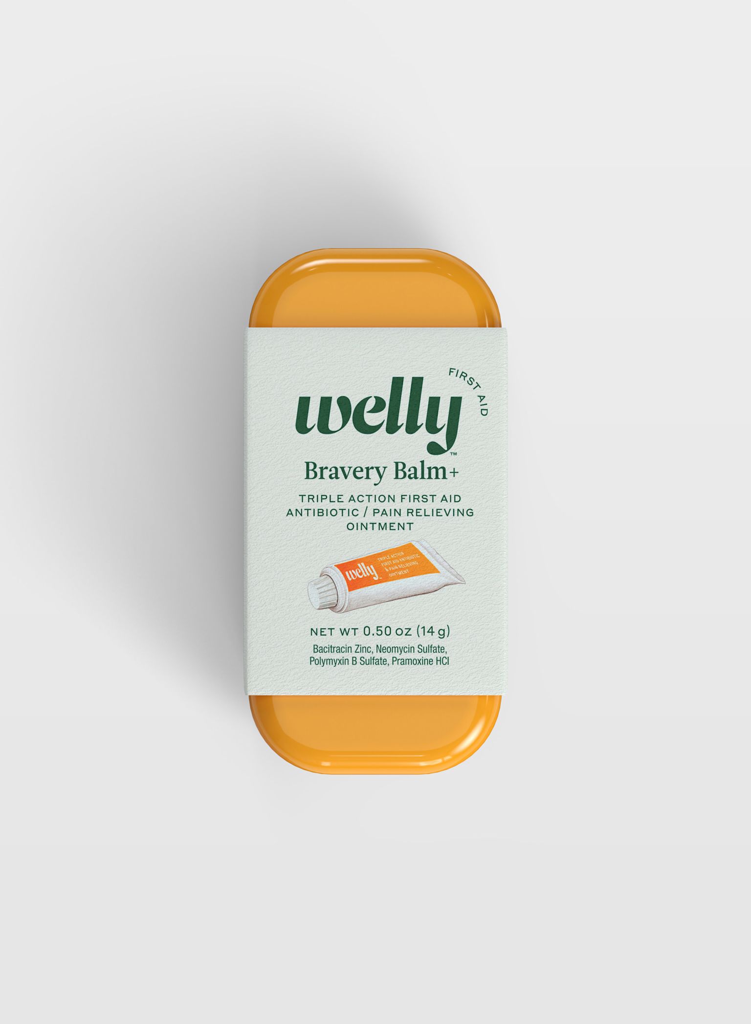 Project - Welly