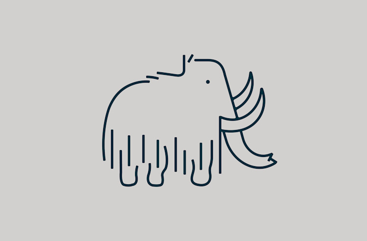 Project - Harry’s - Branding