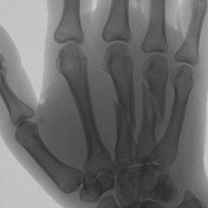 Procedures by Dr. James Chen