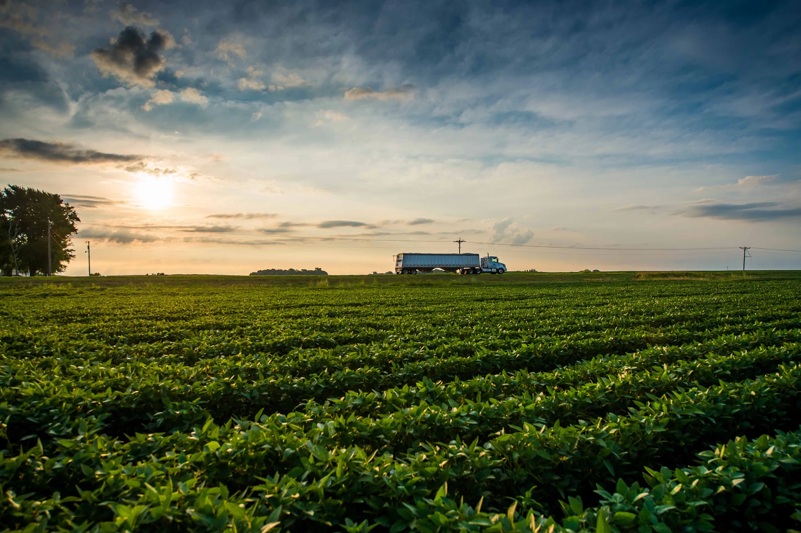 The Food Imperative | Economist Impact