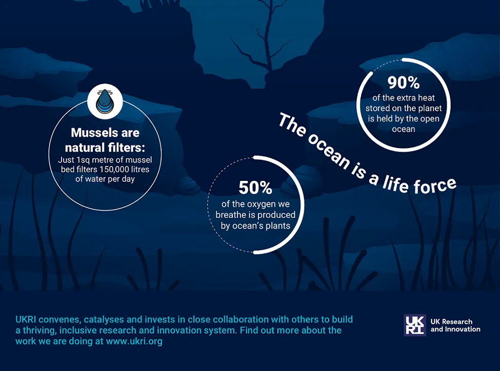 Infographic: Oceans for good