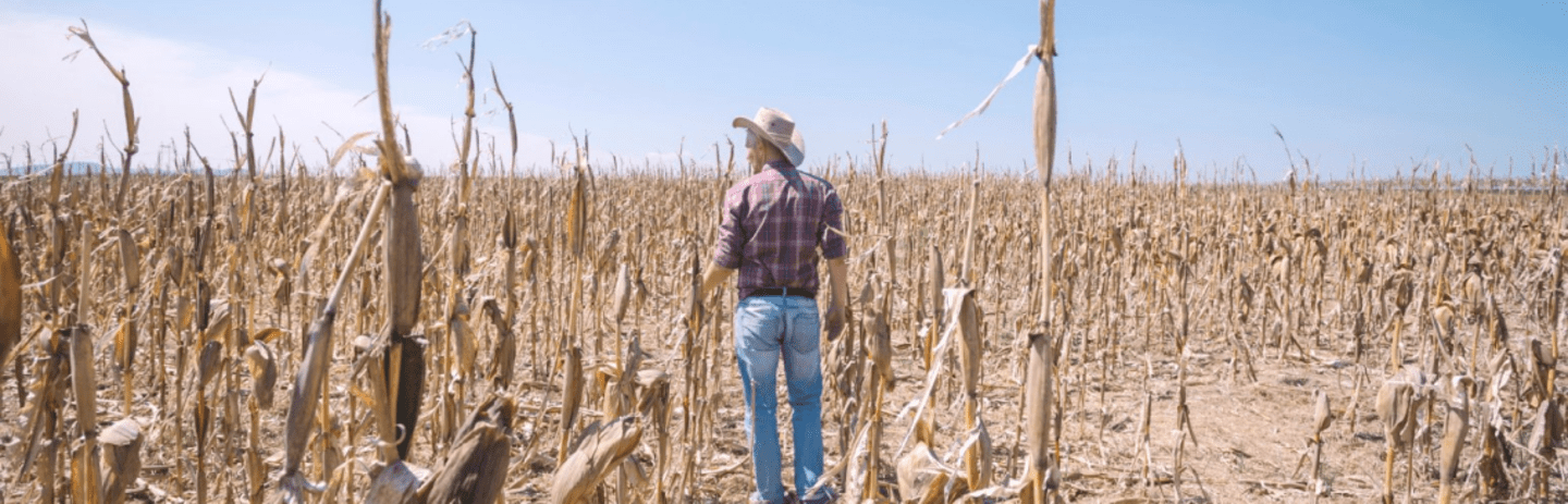 The Food Imperative | Economist Impact