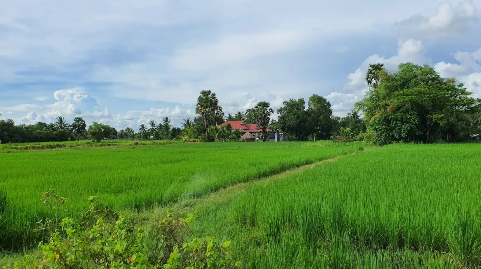 Climate-proofing Asia’s Mega Deltas is imperative