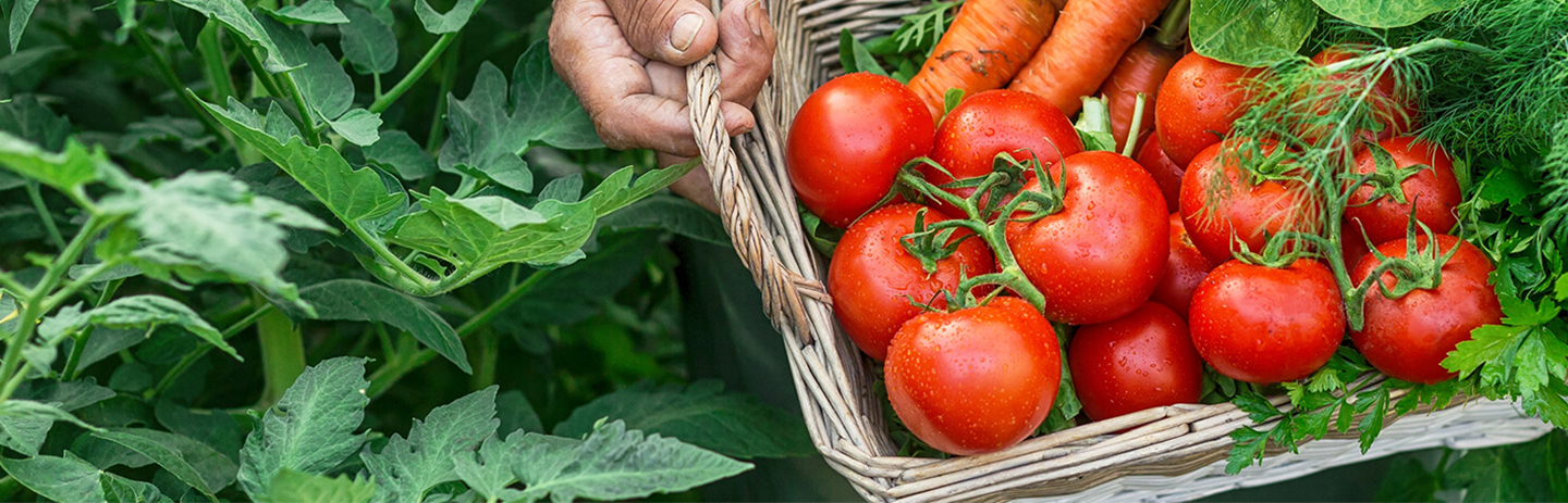 The Food Imperative | Economist Impact