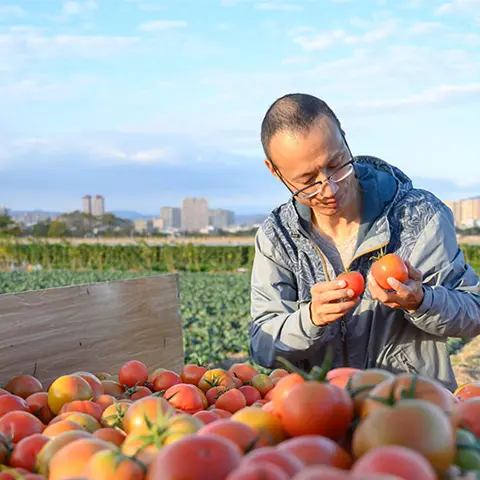 Food Imperative - Home