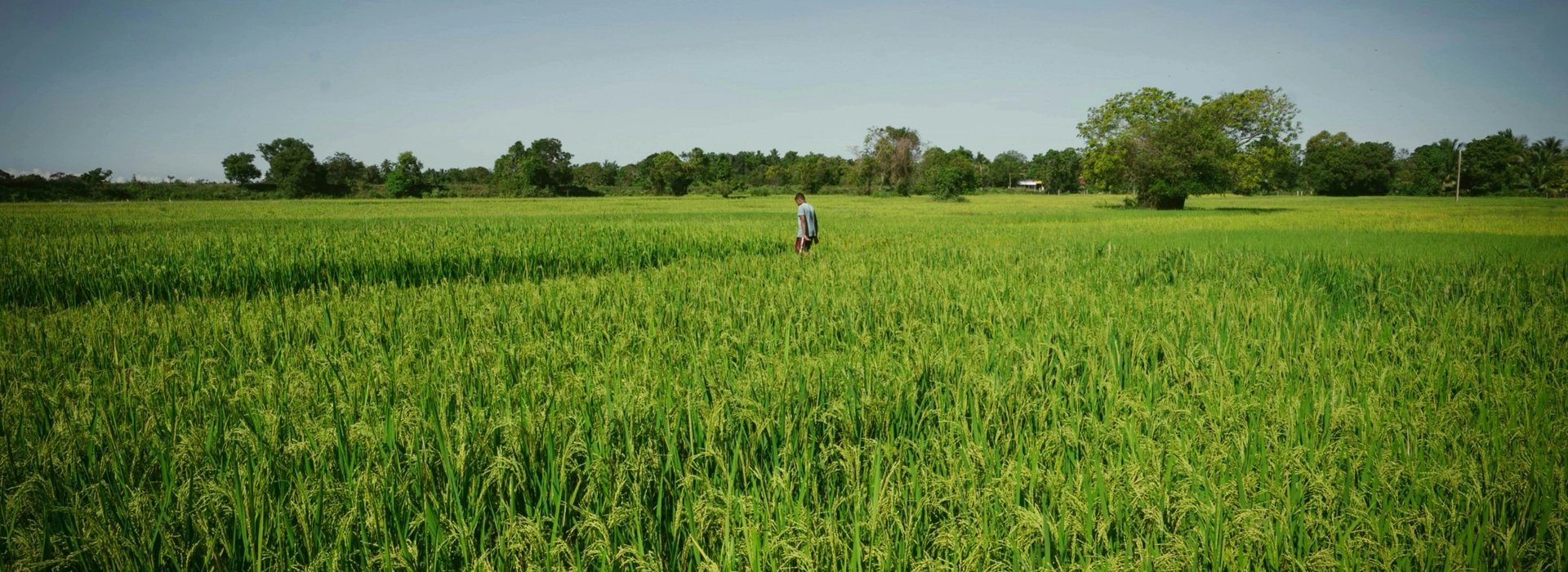 The Food Imperative | Economist Impact